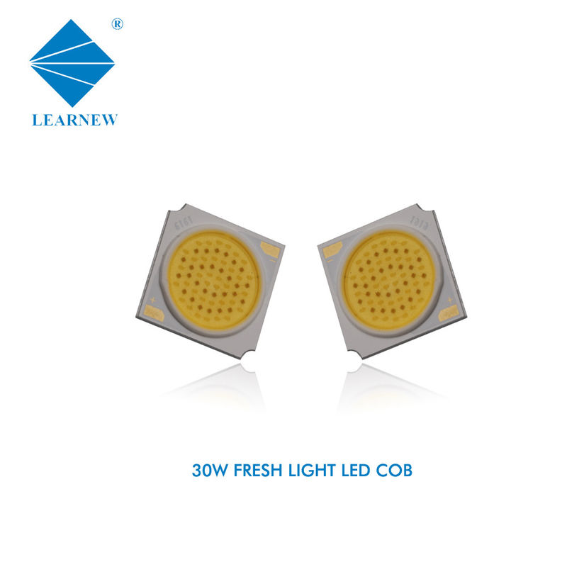 30W 9000-12000K LED COB CHIPS HIGH CRI RICH COLOR LED COB CHIP FOR BEEF