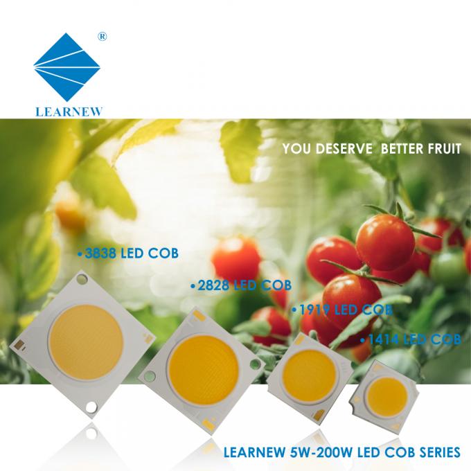 100w 200w 300w High Cri 6000k LED COB CHIPS High Power High Efficiency ...